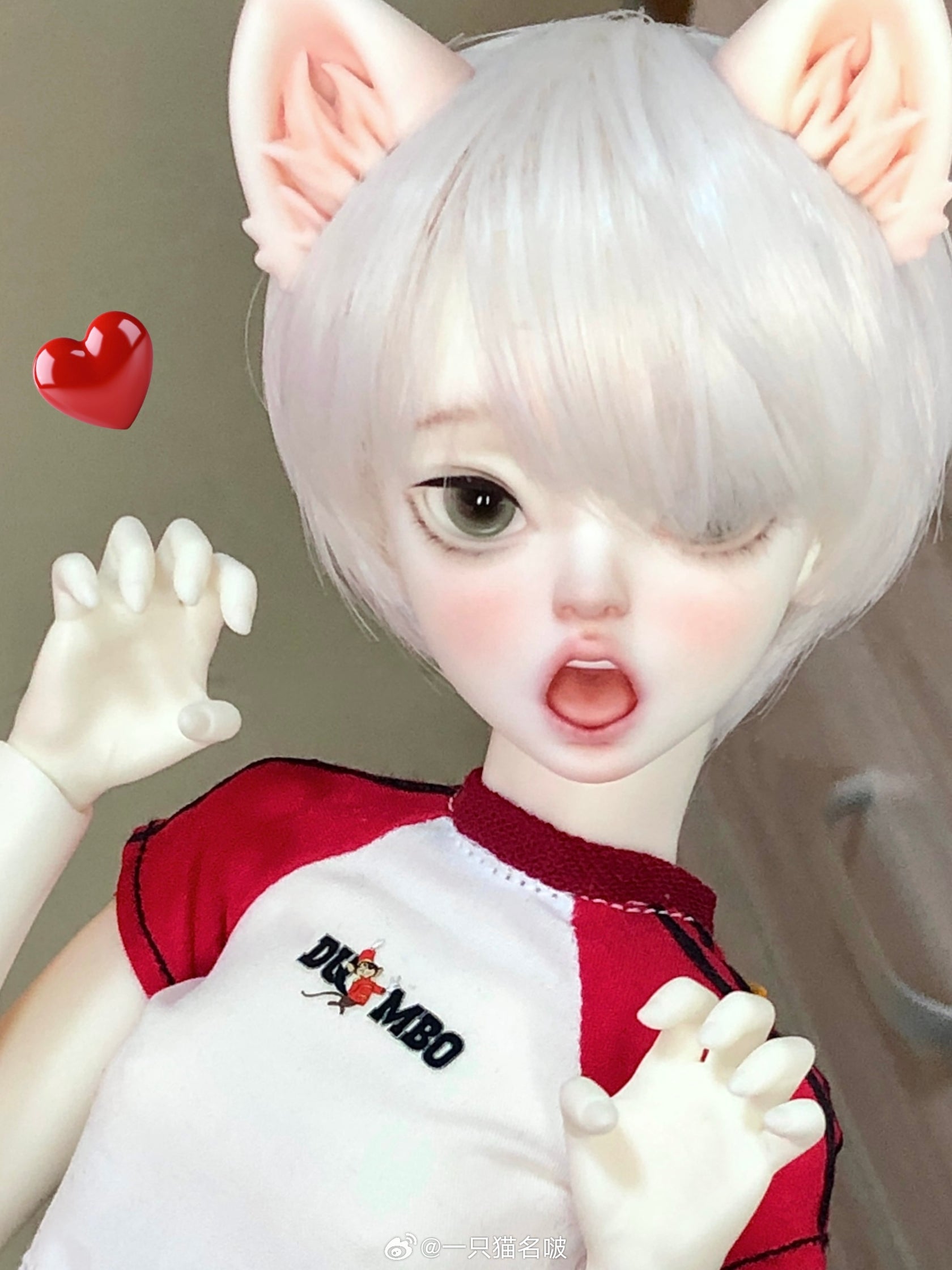 A cat Bo - HAKIMI (หัวBJD) : พร้อมส่ง – Anubis Doll Café