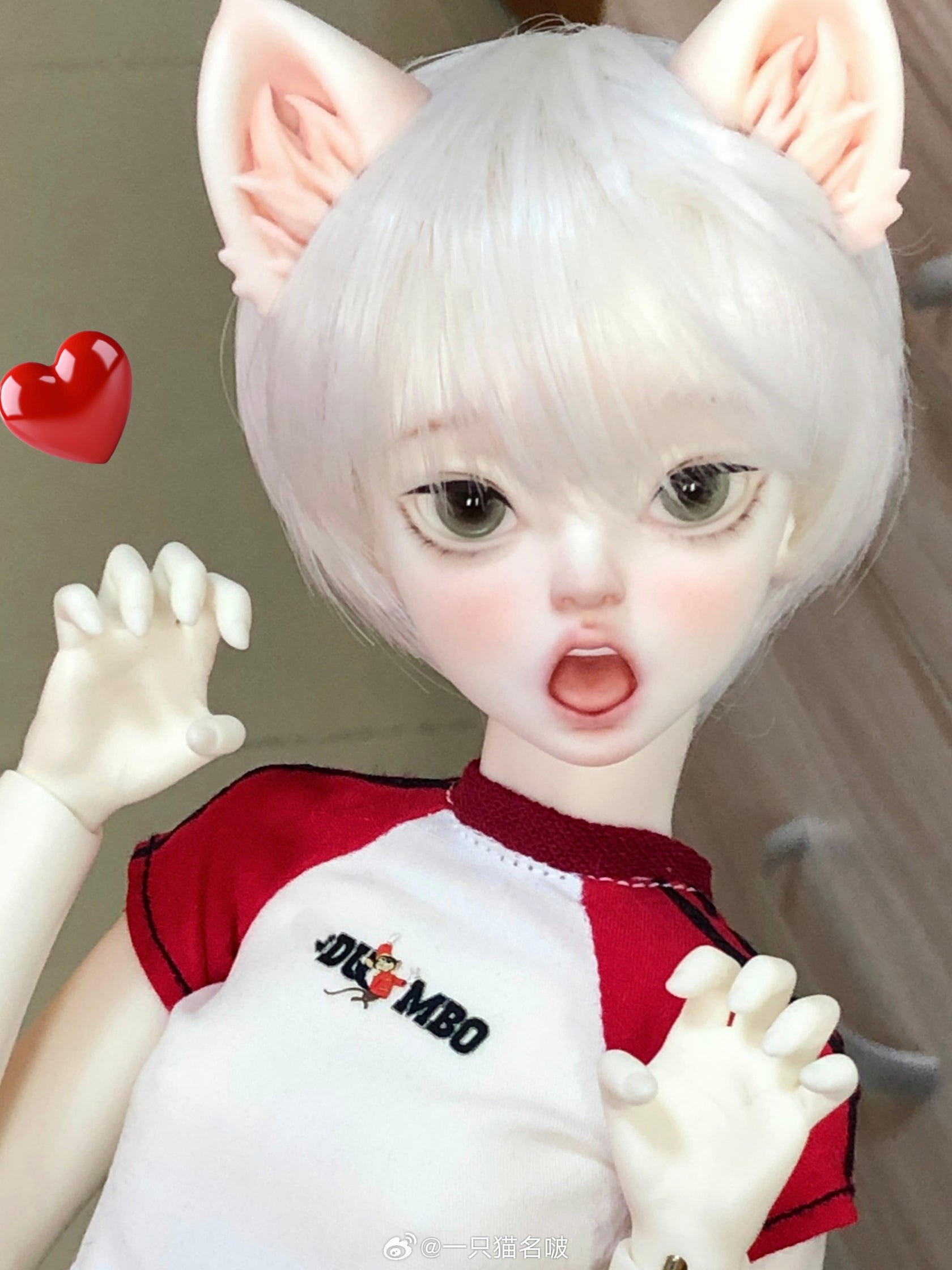 A cat Bo - HAKIMI (หัวBJD) : พร้อมส่ง – Anubis Doll Café